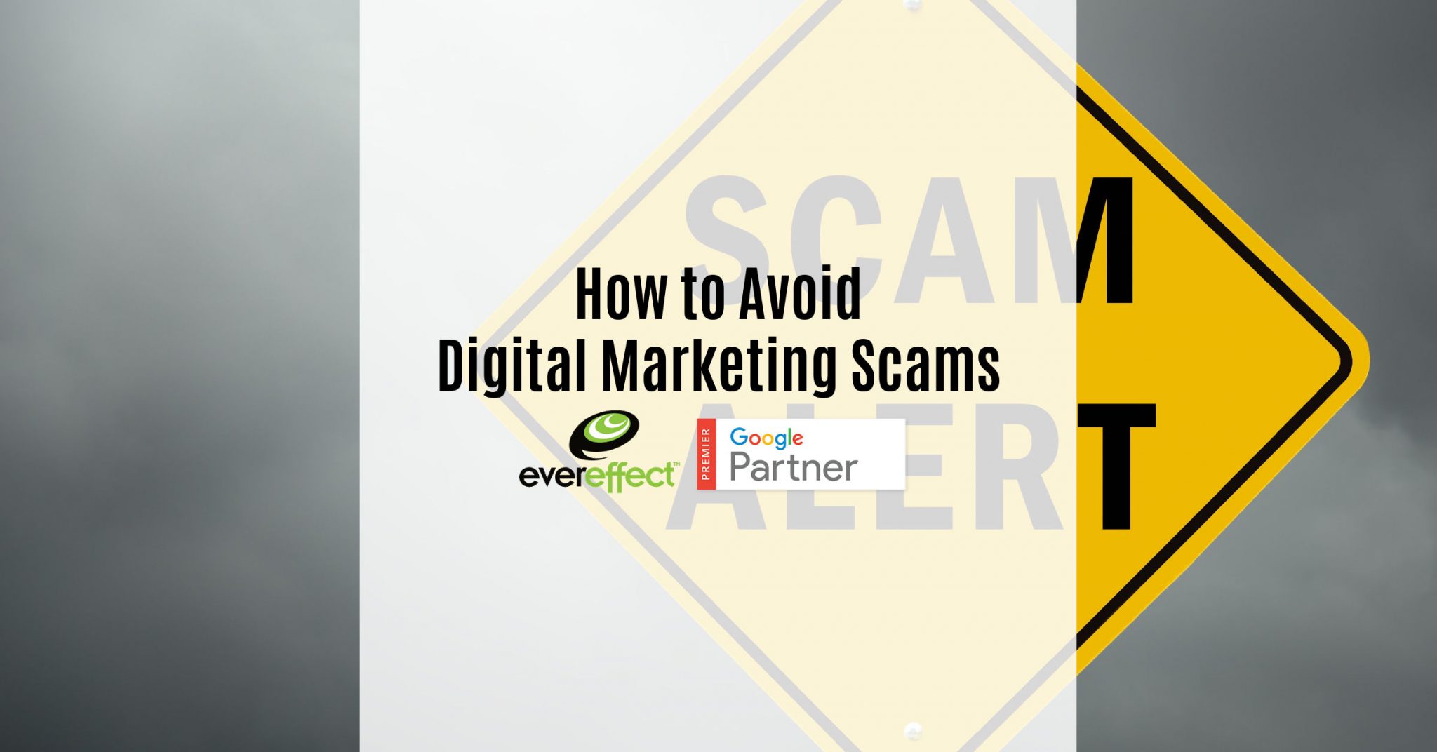 Avoid These Digital Marketing Scams | EverEffect